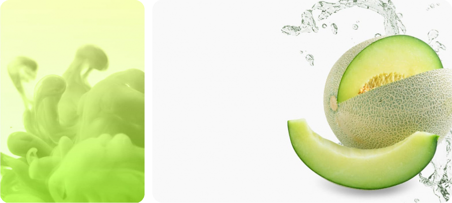 Alien X starter kit - SnowPlus Mongolia