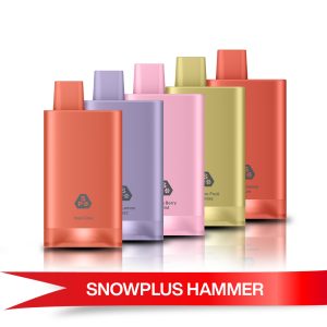 ДЭЛГҮҮР - SnowPlus Mongolia